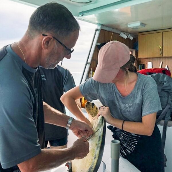 Marine Turtles Research Field Trip - KIS Newsletter