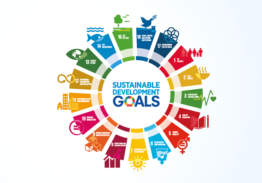 From the Head of Primary 21.11.2020 - KIS Newsletter