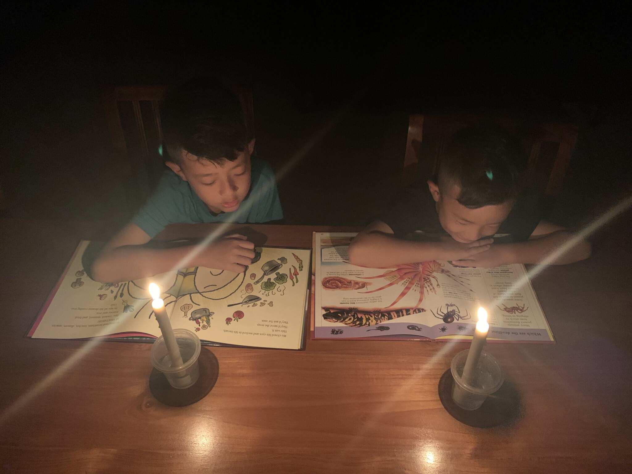 E16C352E-427C-4FC8-A5BE-551BC0021229 - Hyemi Shin - KIS Newsletter