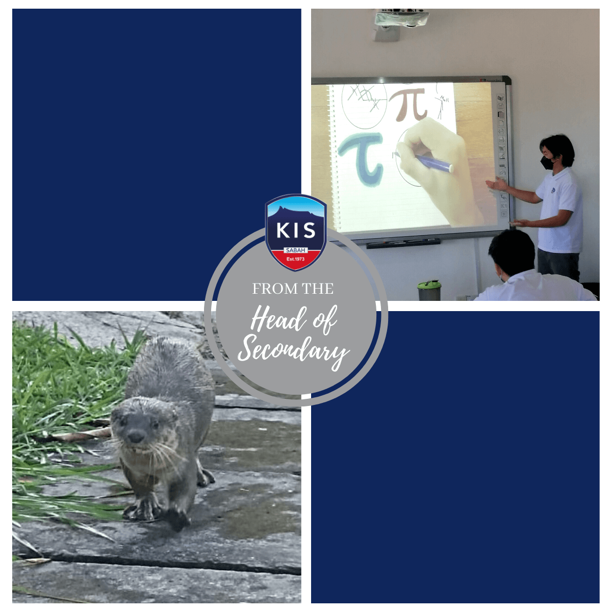 NEWSLETTER FEATURED PHOTO - KIS Newsletter