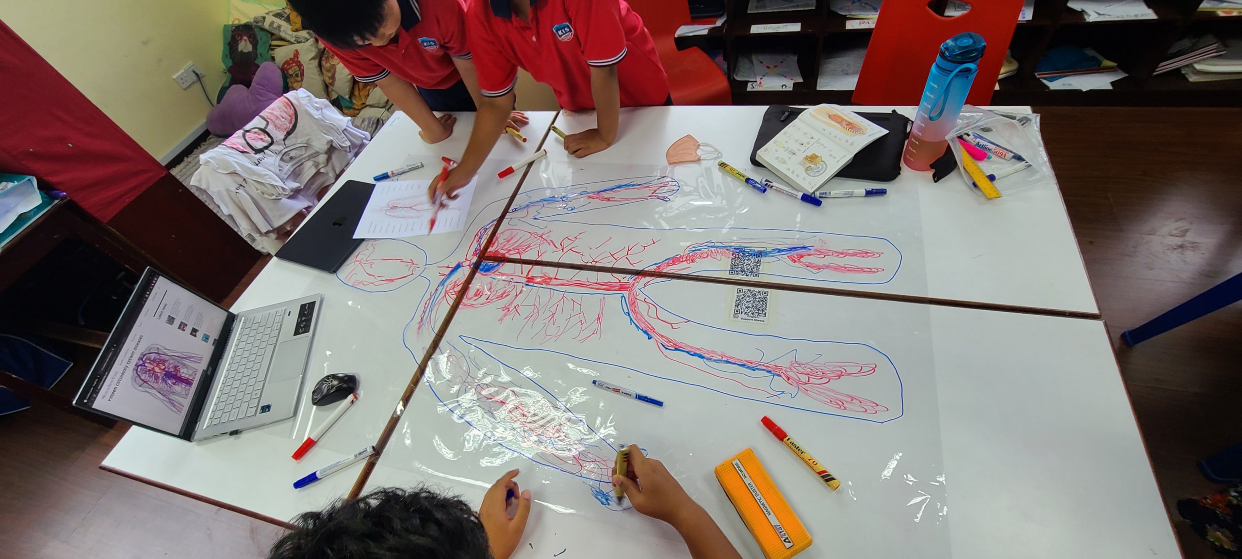 YEAR 6 BODY ORGANS LESSON (4) - KIS Newsletter