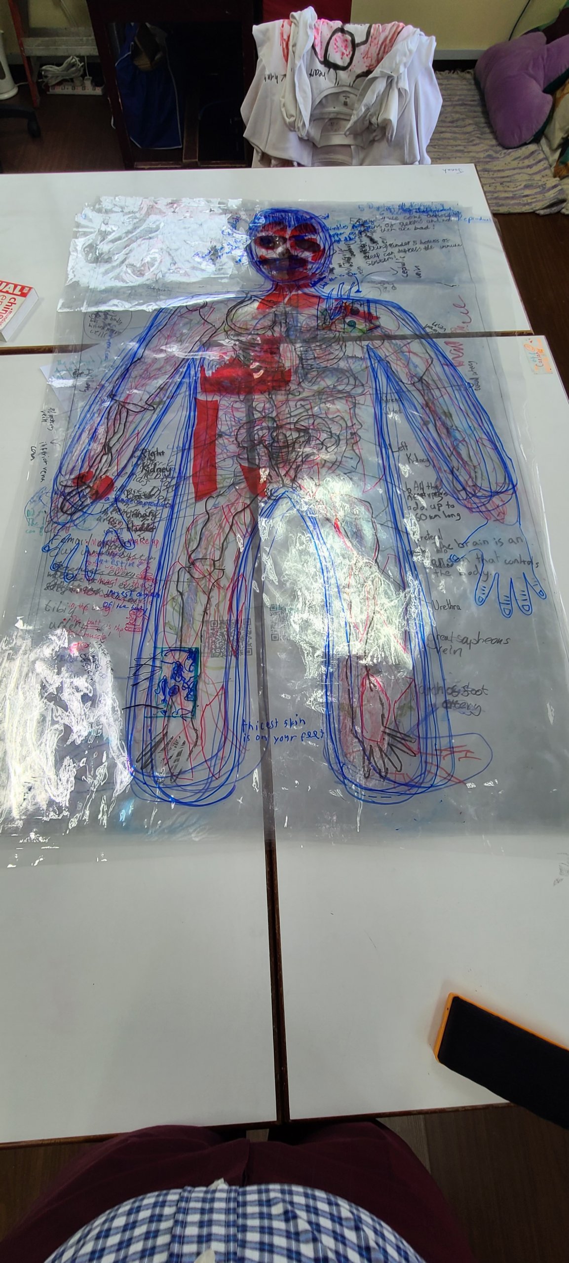 YEAR 6 BODY ORGANS LESSON (6) - KIS Newsletter